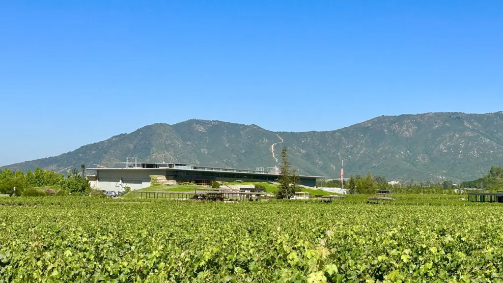 Bate e volta para o Valle Colchagua, no Chile: vale a pena?