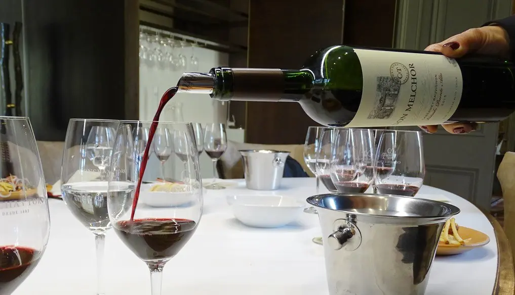 Tour Don Melchor: degustação exclusiva de vinhos na Concha y Toro, Chile