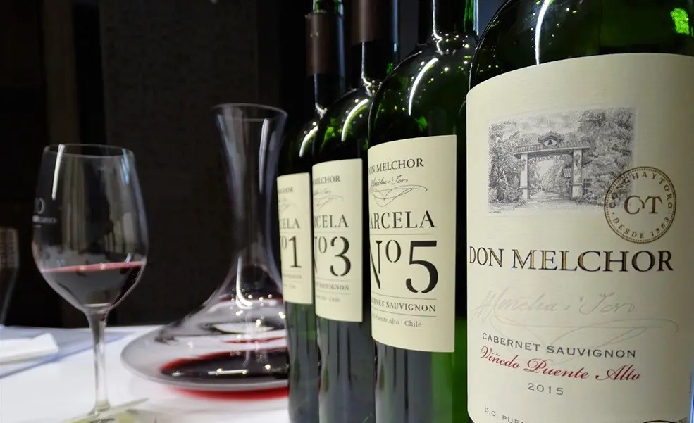 Tour Don Melchor: degustação exclusiva de vinhos na Concha y Toro, Chile